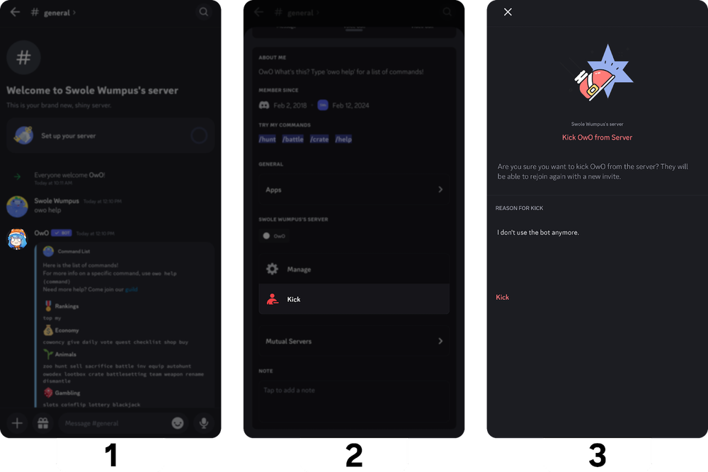 How to use Discord bots