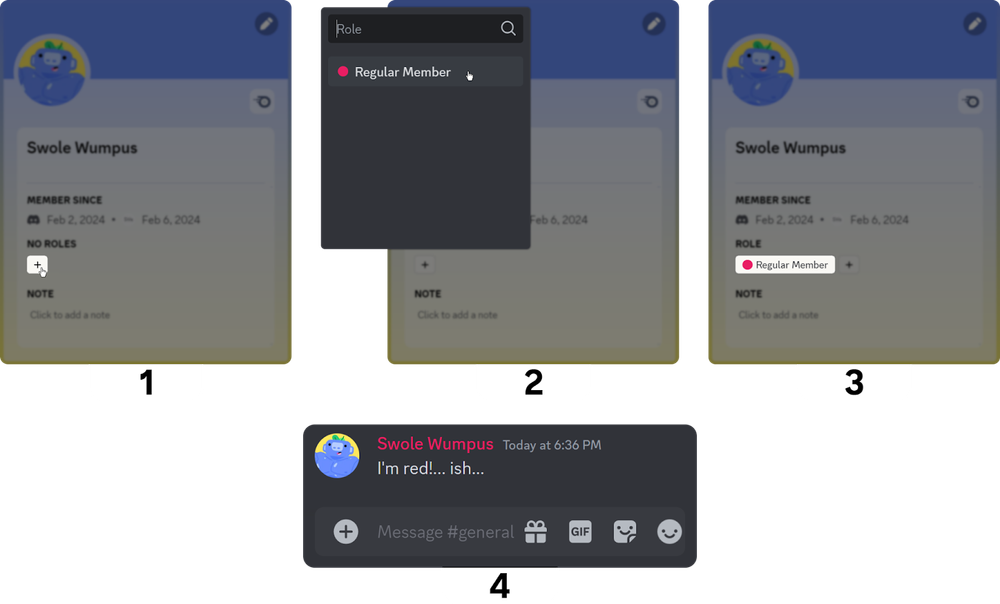 How to Make Someone an Admin on a Discord Server