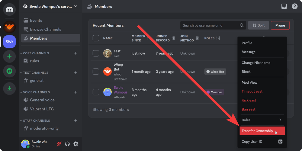 How to transfer ownership of your Discord server
