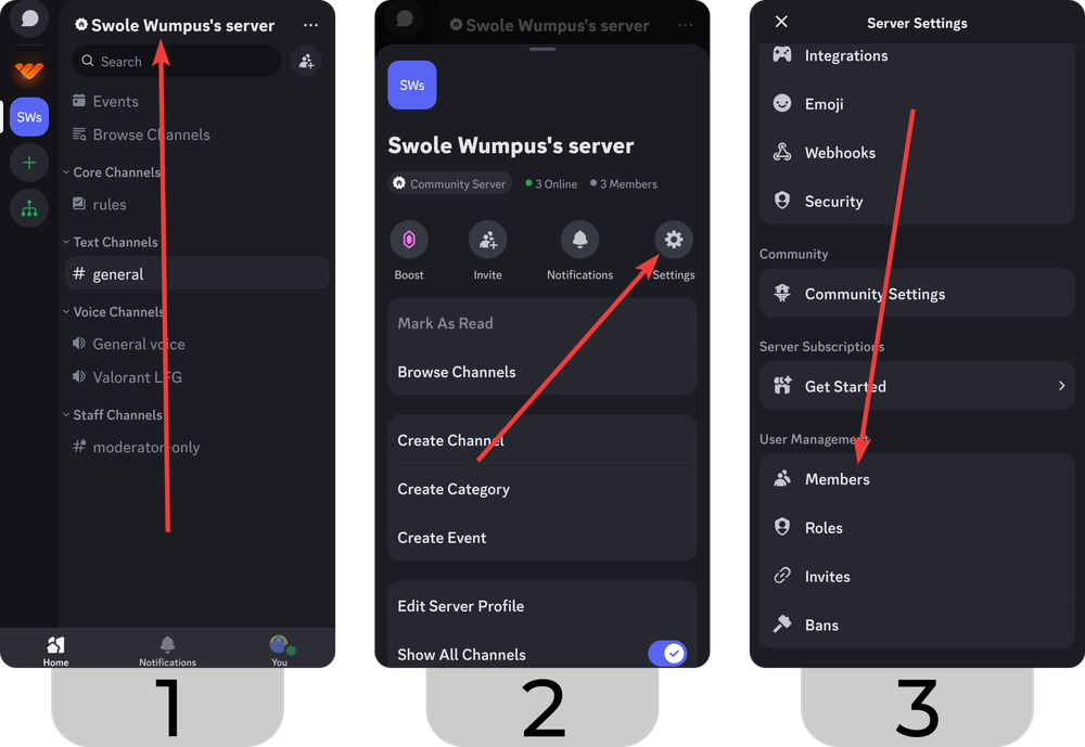 How to transfer ownership of your Discord server