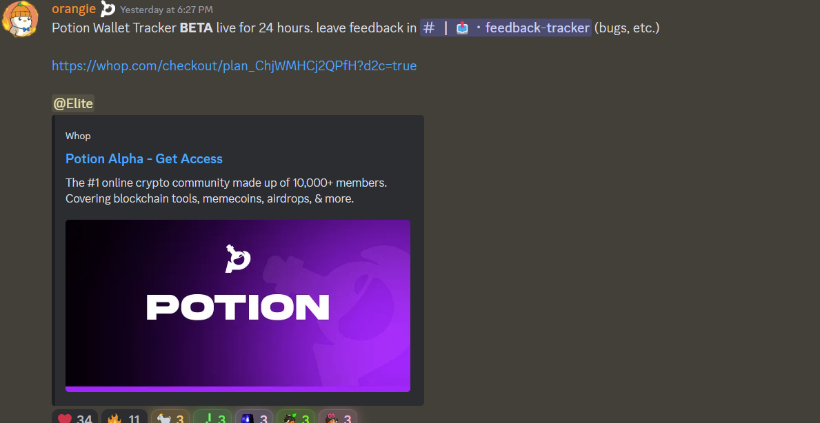 Potion Alpha Review: What does this crypto trading community have to offer?