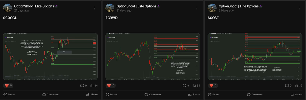 Elite Options review: What this options trading group can teach you