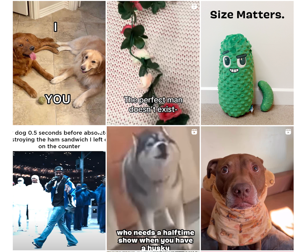 Get paid to create content: 40 brands looking for UGC creators