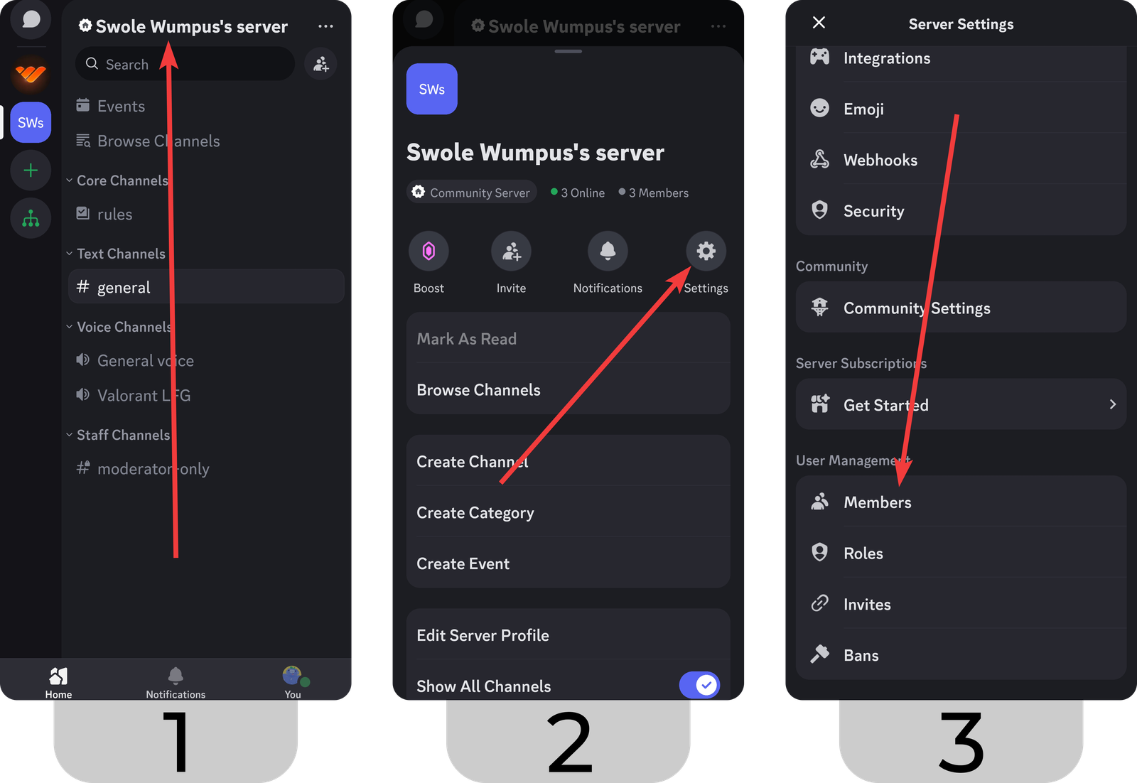 How to transfer ownership of your Discord server