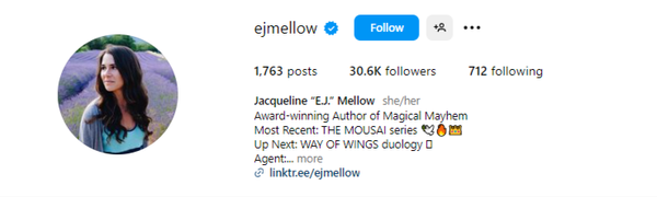 10 Instagram Bio Examples for Small Businesses