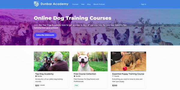 53 Thinkific Course Examples to Inspire Your Online Course Journey