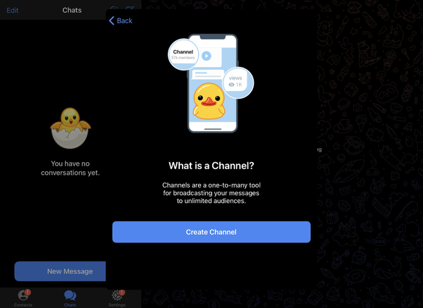 Telegram Channel vs Group: Key differences you need to know