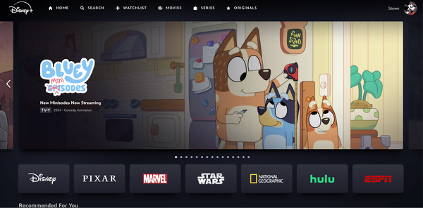 Netflix vs Disney Plus: Which streaming platform is best?
