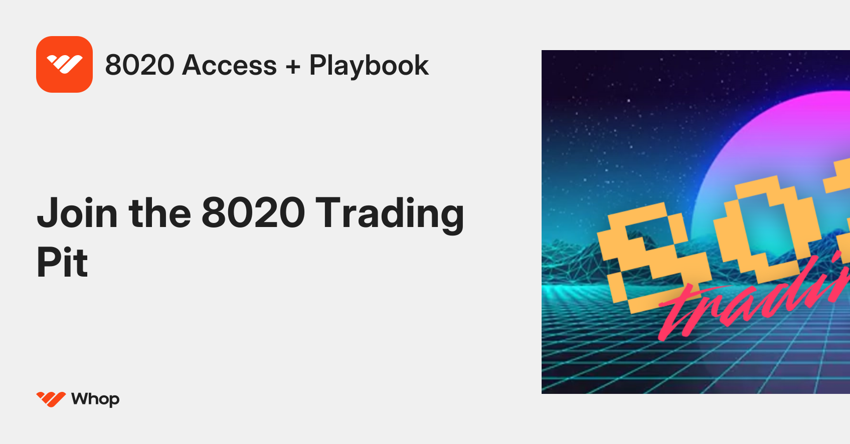8020 Access + Playbook | Whop