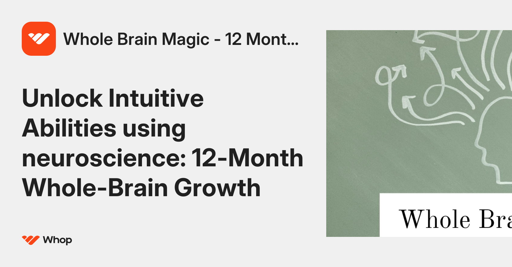Whole Brain Magic - 12 Months | Whop