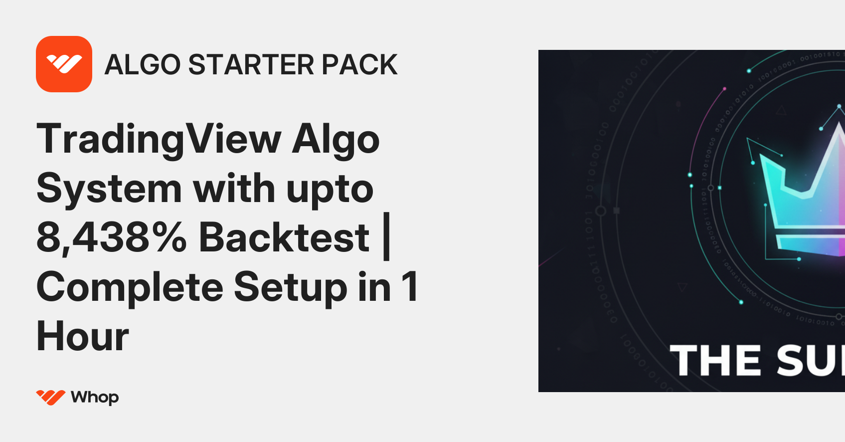 ALGO STARTER PACK | Whop