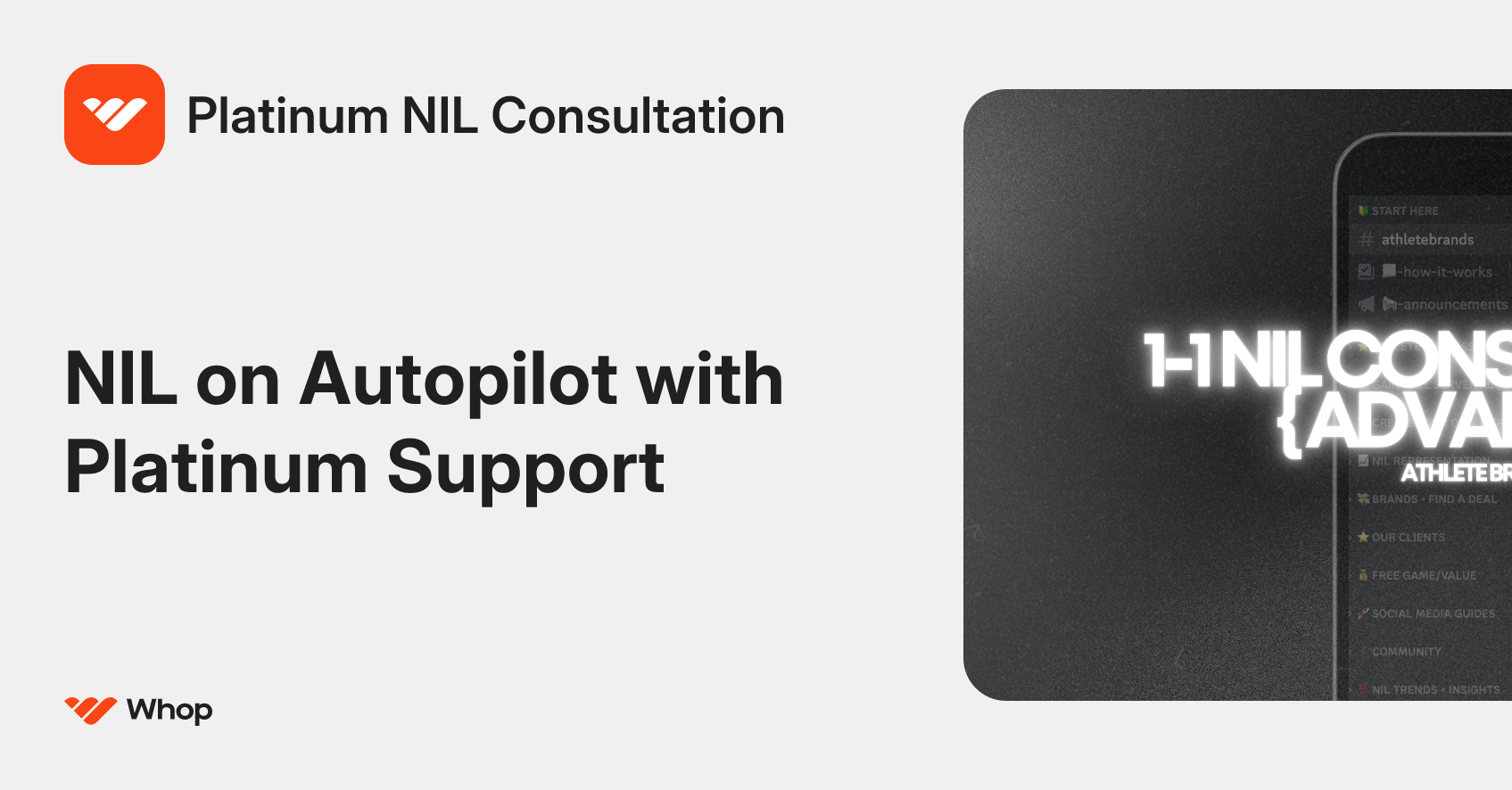 Platinum NIL Consultation | Whop