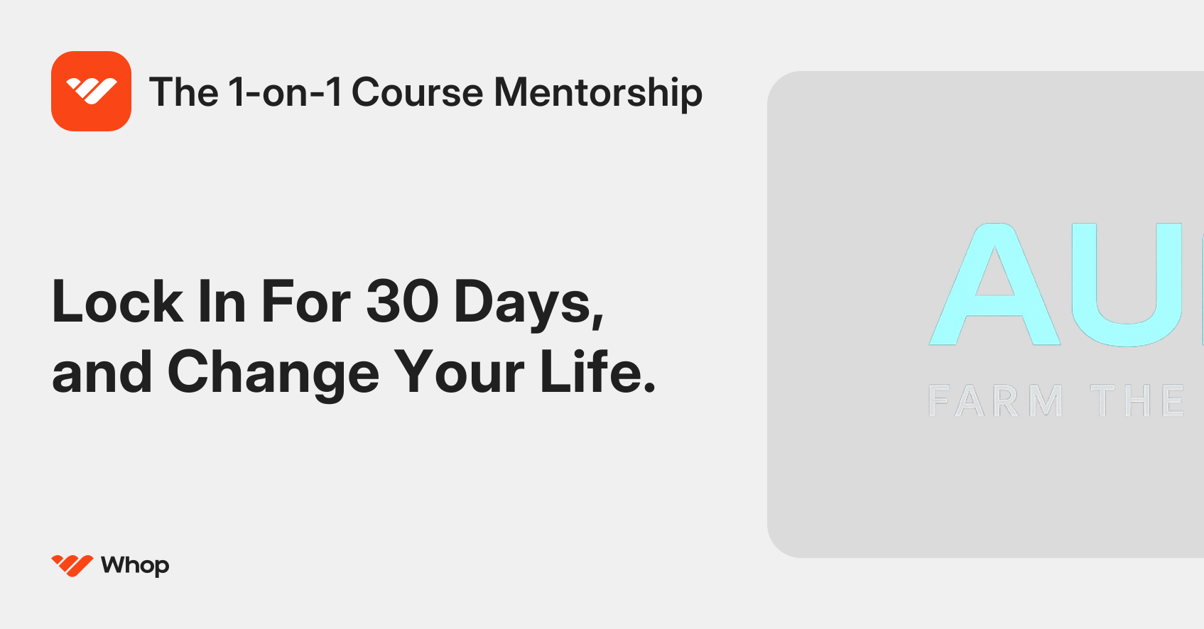 The 1-on-1 Course Mentorship | Whop