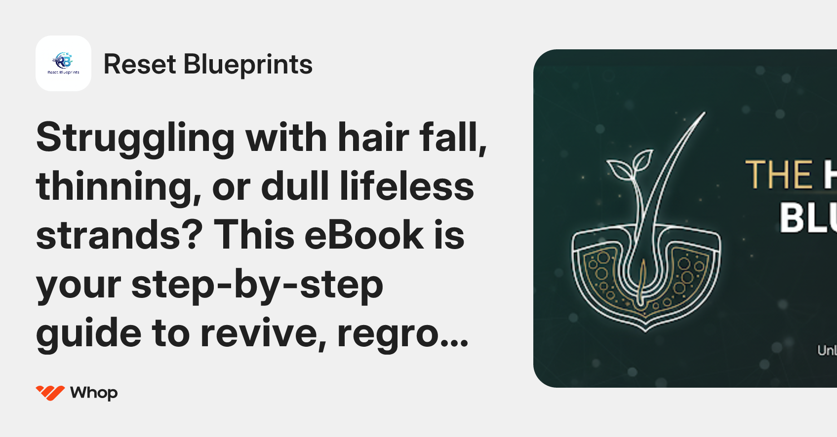 Reset Blueprints Whop