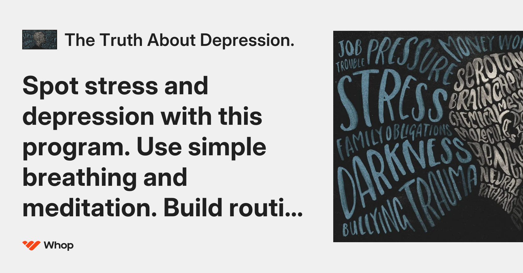 The Truth About Depression. | Whop
