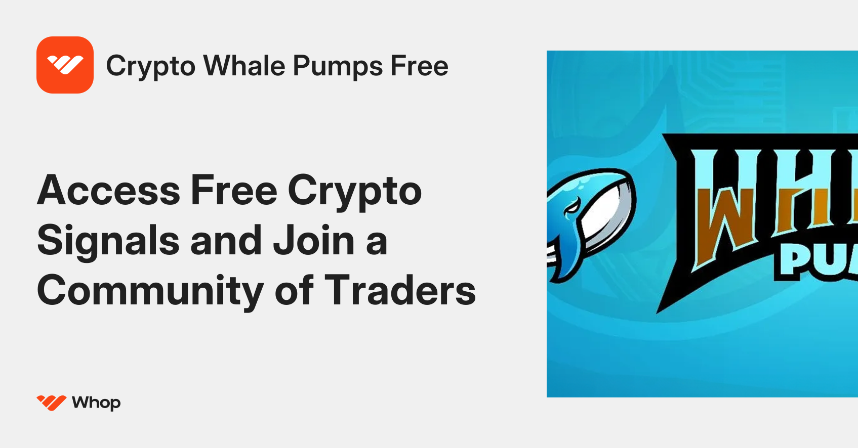 Crypto Whale Pumps Free | Whop