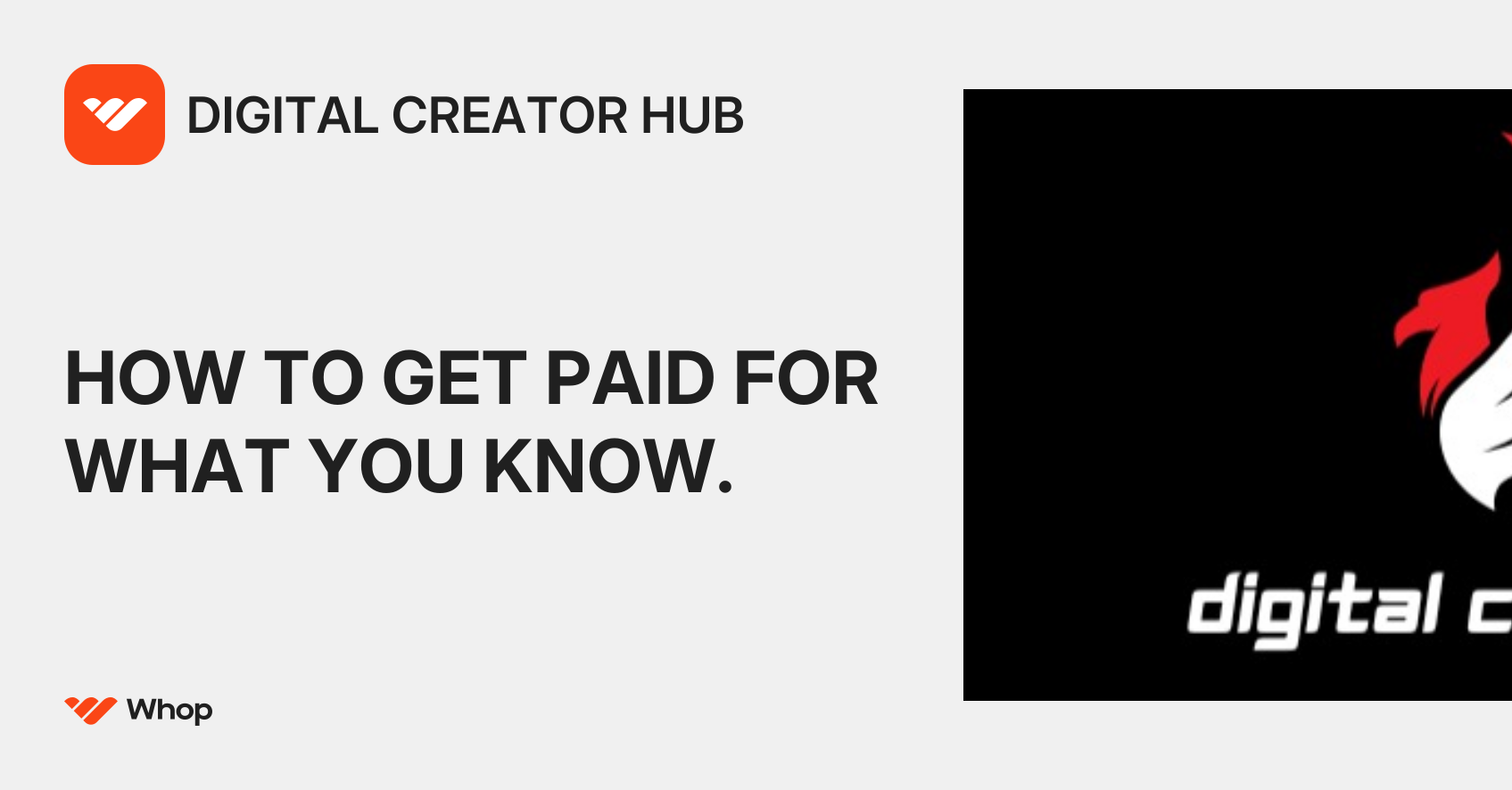 DIGITAL CREATOR HUB