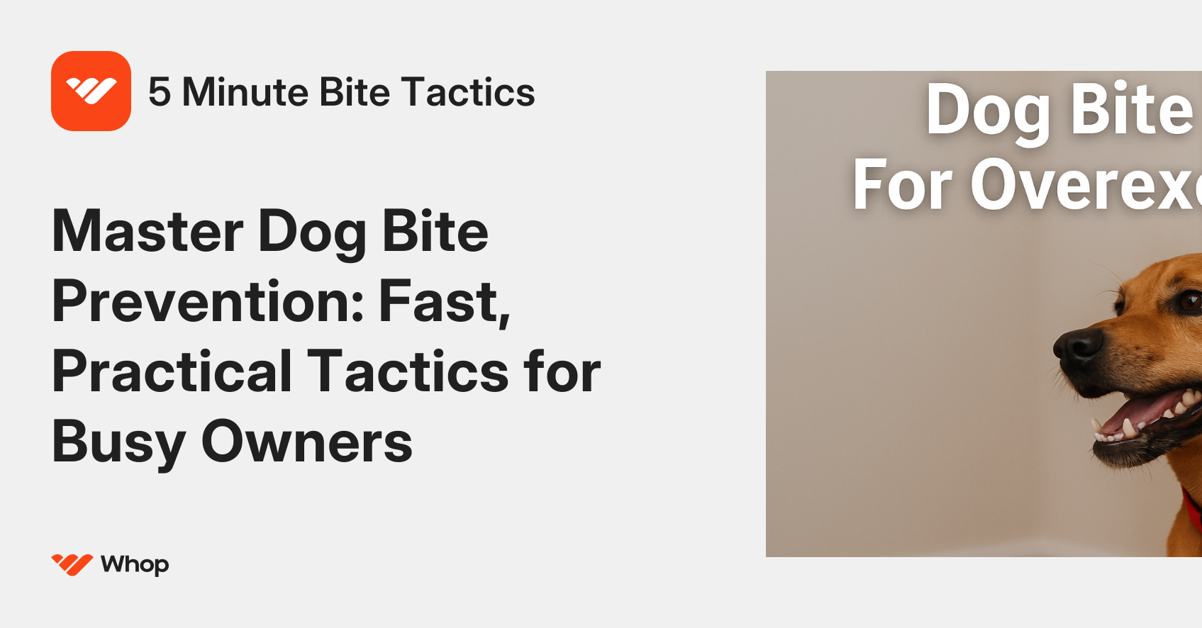 5 Minute Bite Tactics | Whop