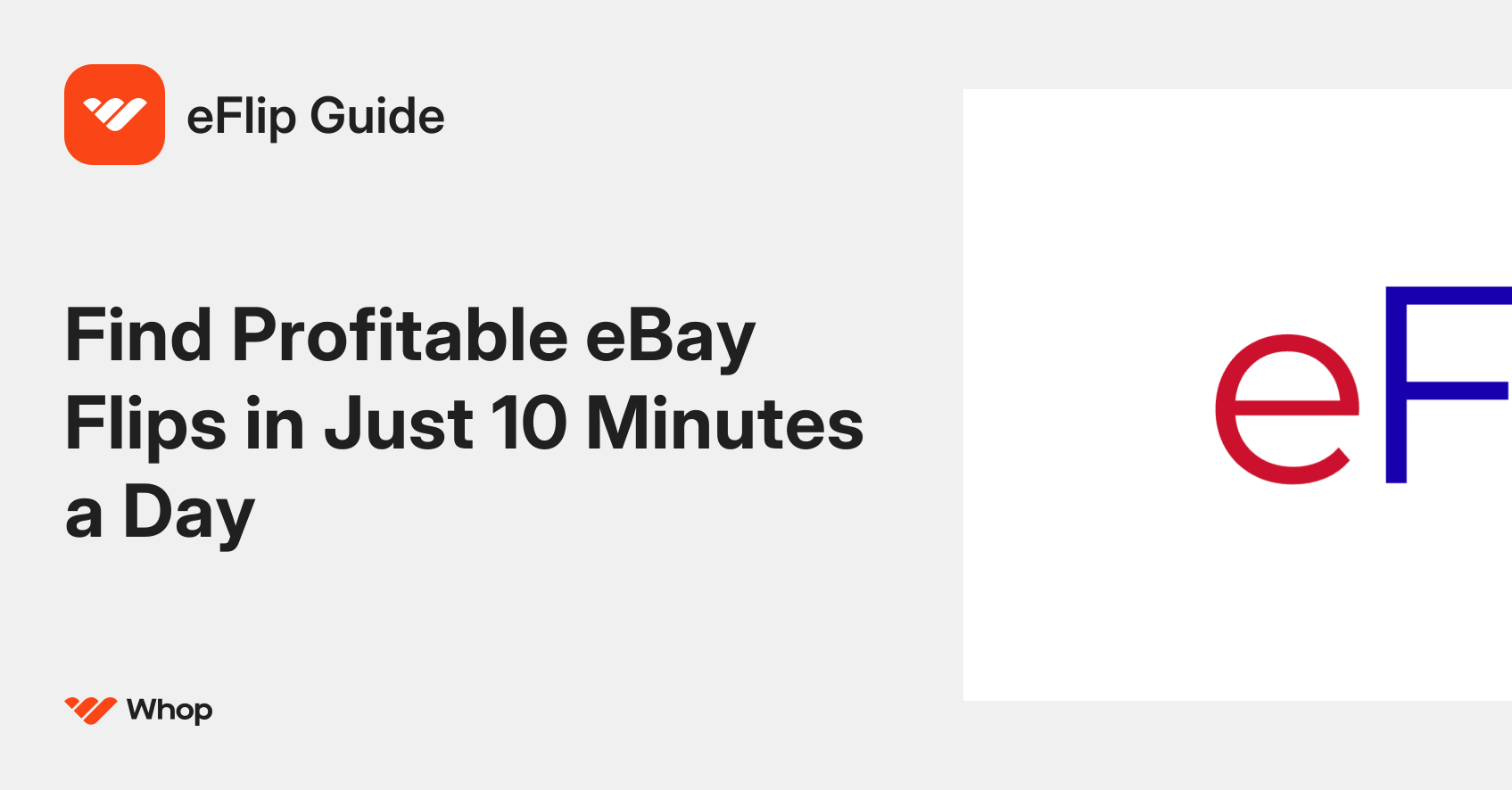eFlip Guide