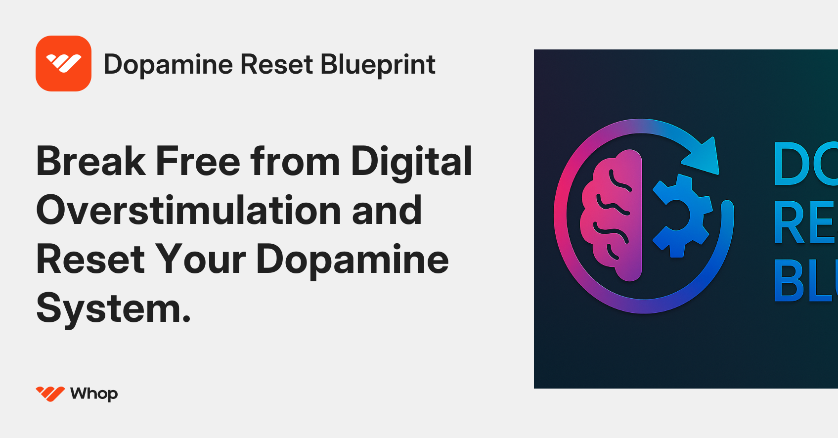 Dopamine Reset Blueprint | Whop
