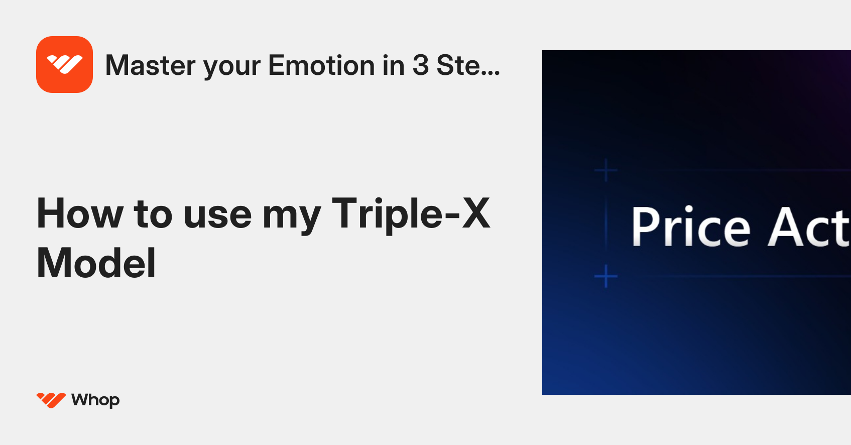 My Triple-X Model