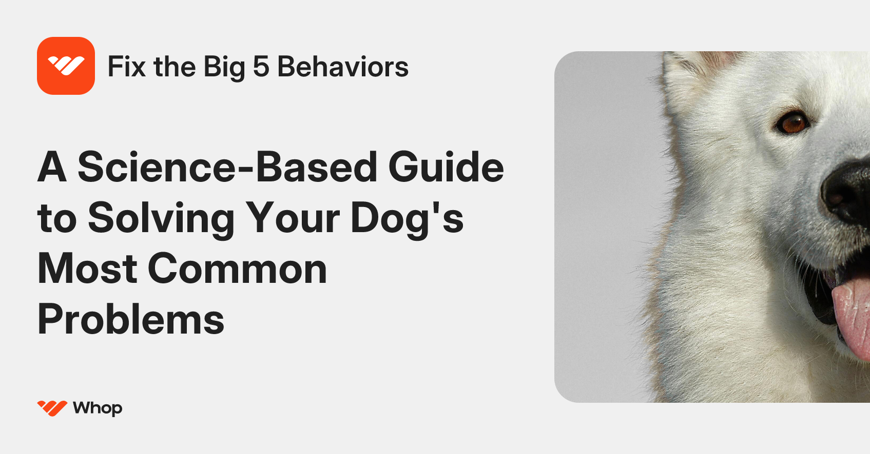 Fix the Big 5 Behaviors