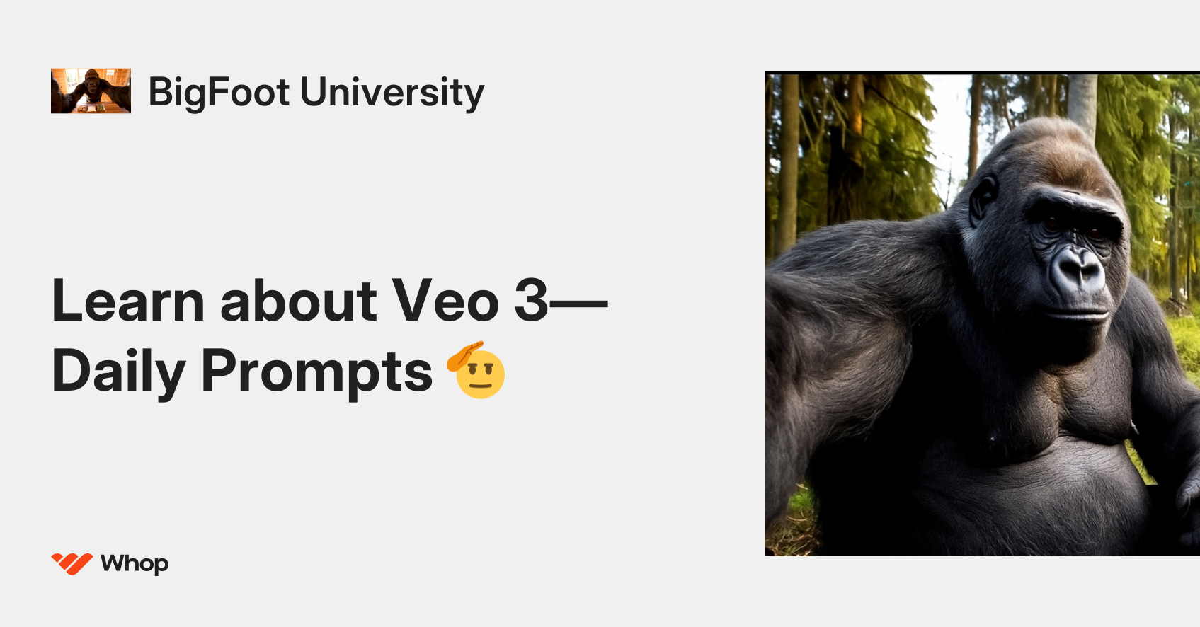 BigFoot University