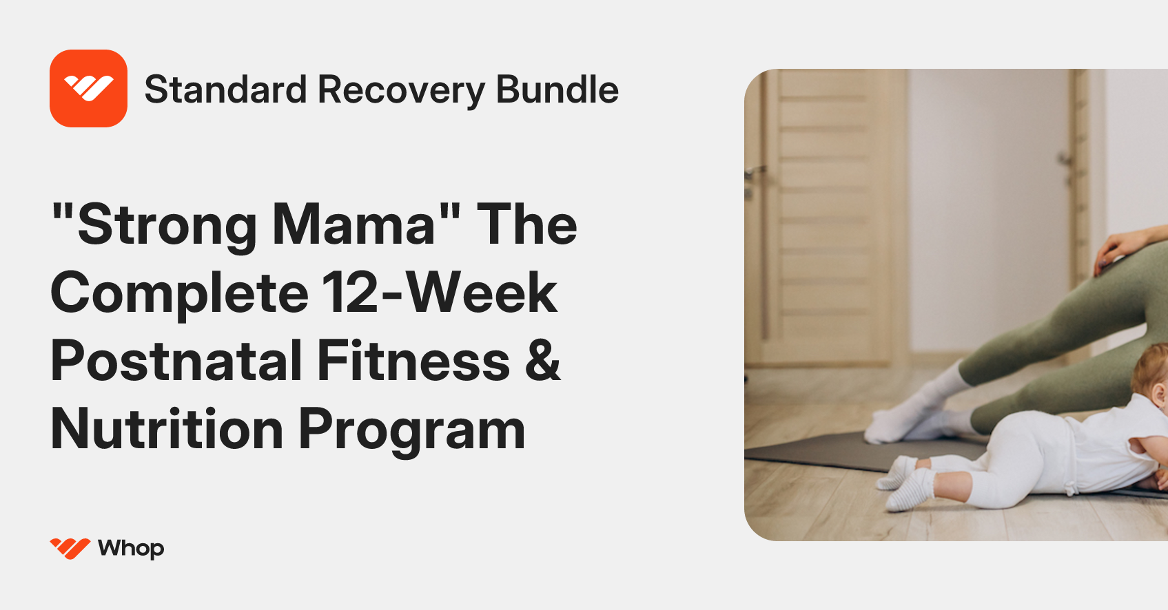 Standard Recovery Bundle | Whop