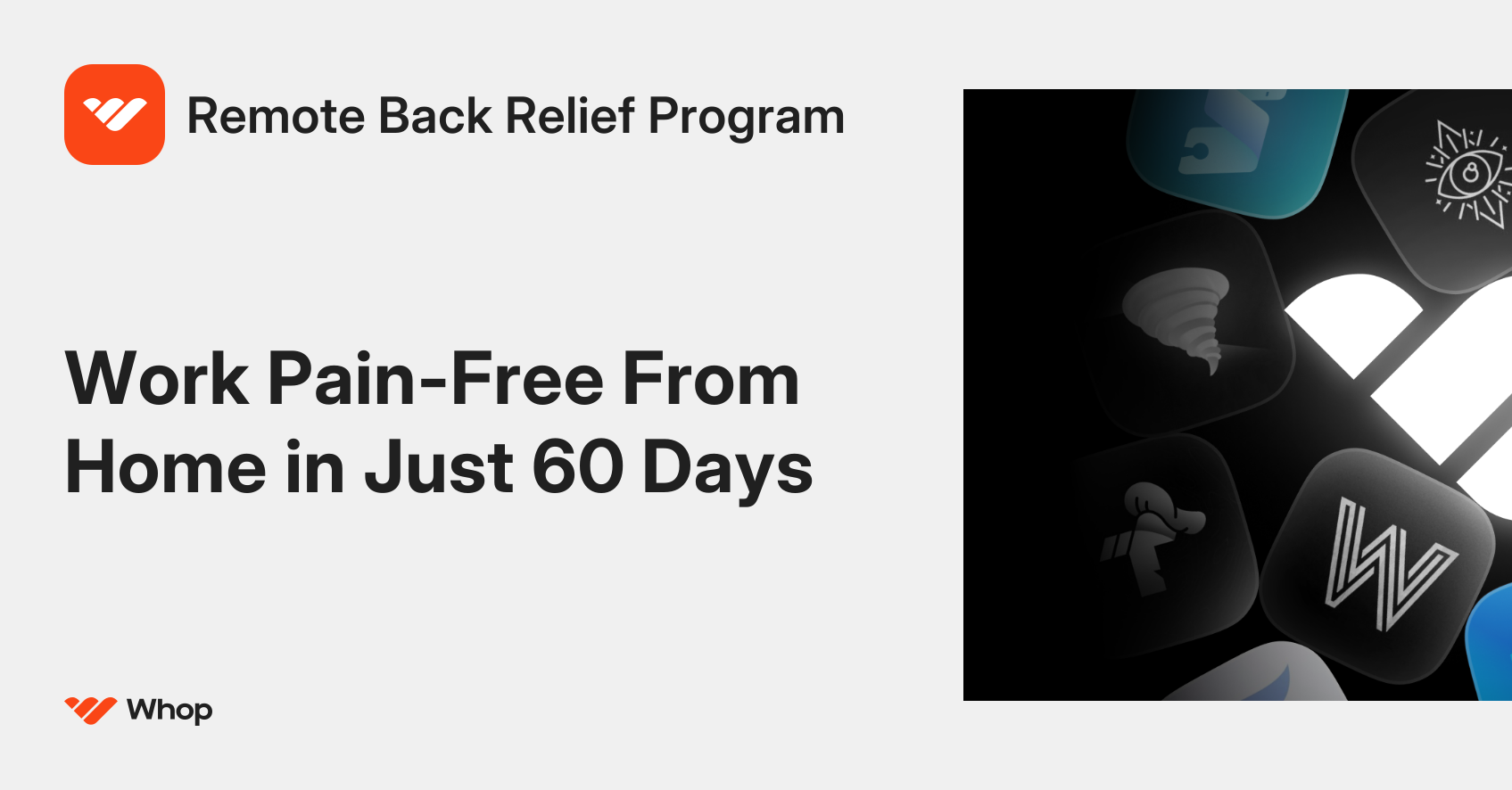 Remote Back Relief Program | Whop