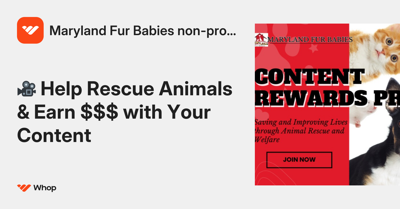 Maryland Fur Babies non-profit | Whop