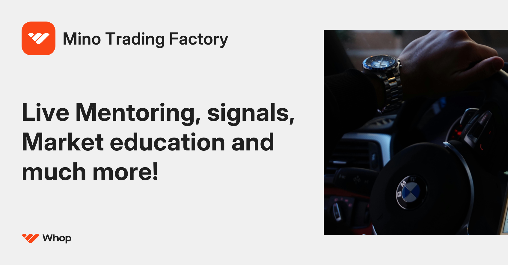 Mino Trading Factory | Whop