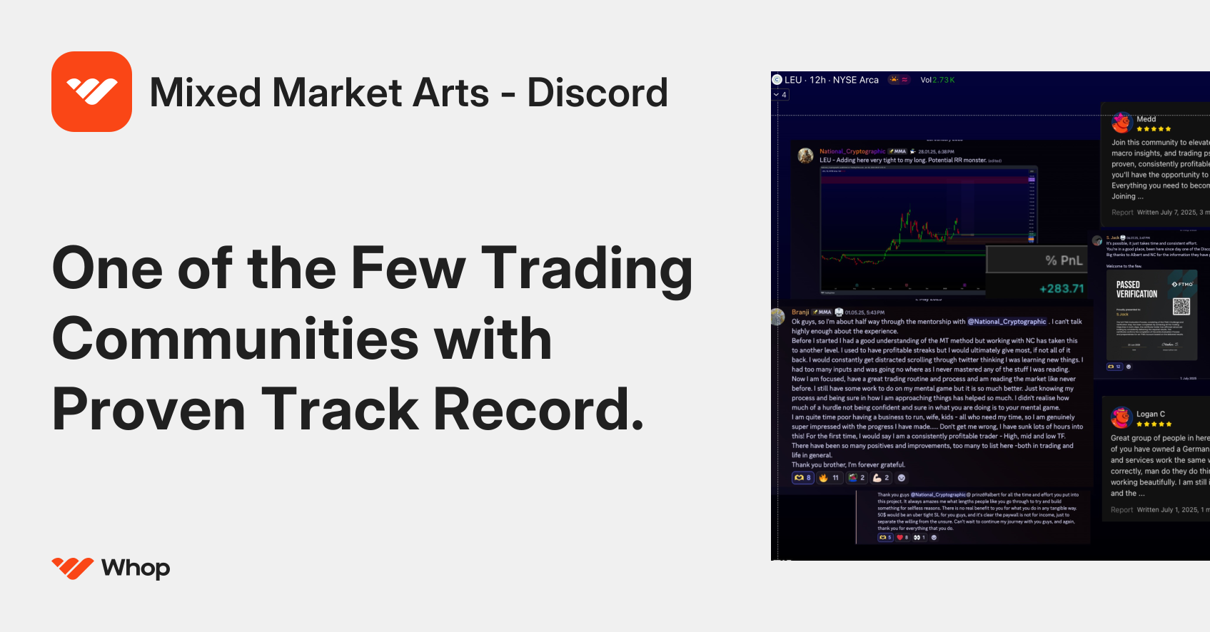Mixed Market Arts - Discord | Whop