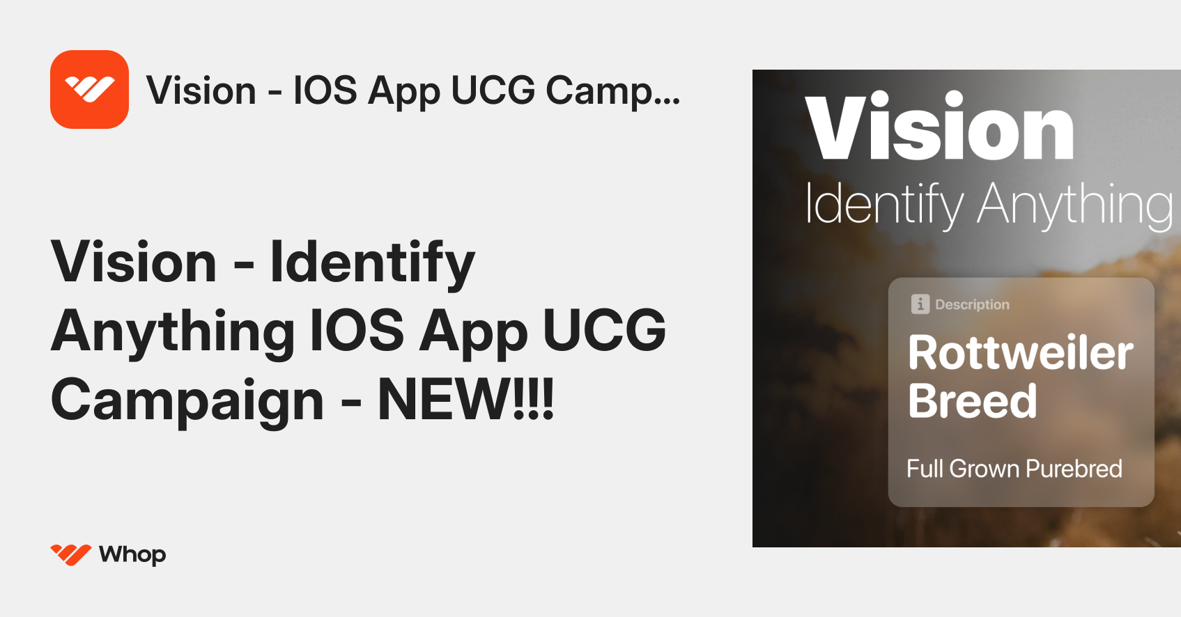 Vision - IOS App UCG Campaign