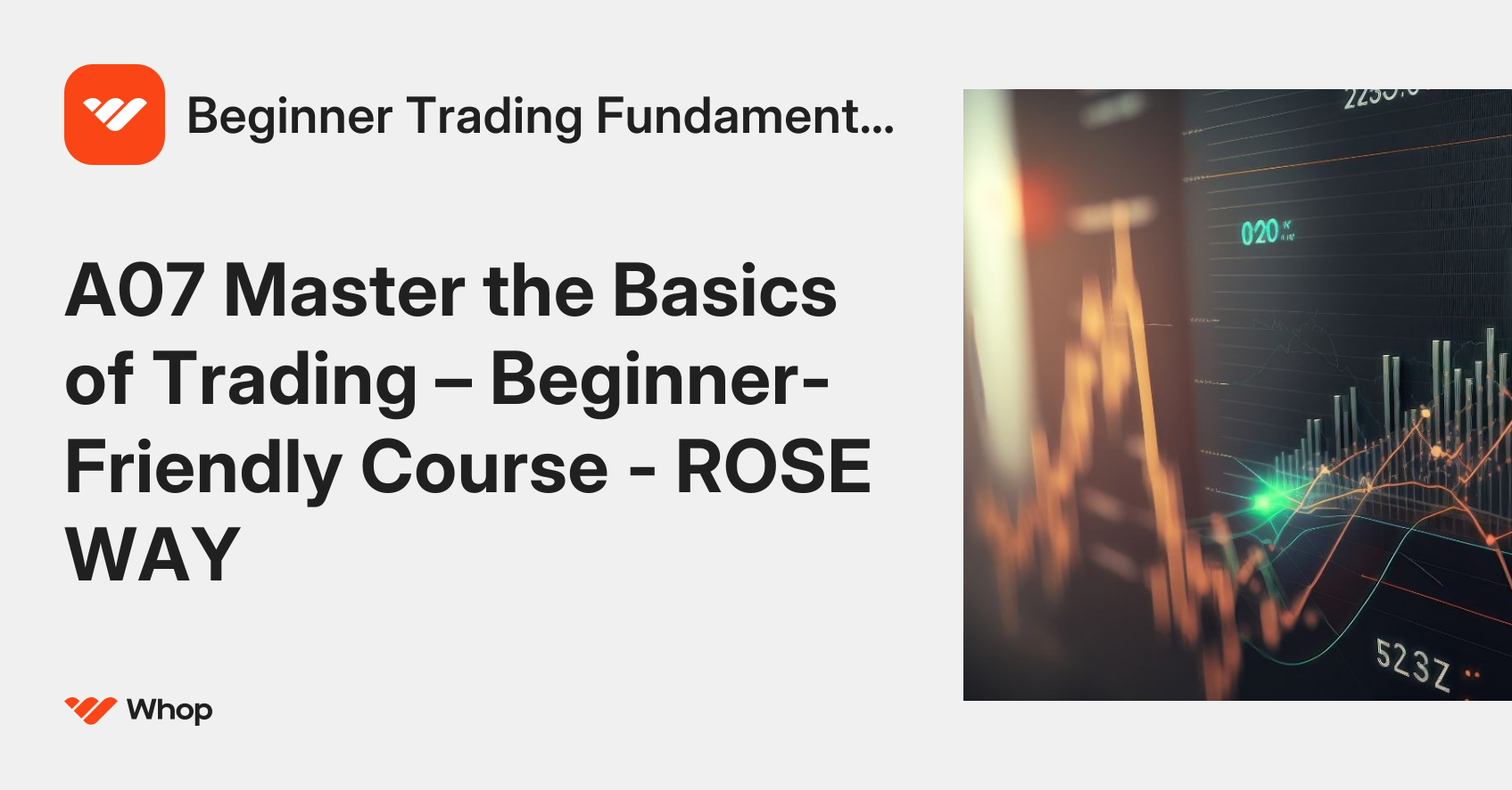 Beginner Trading Fundamentals | Whop