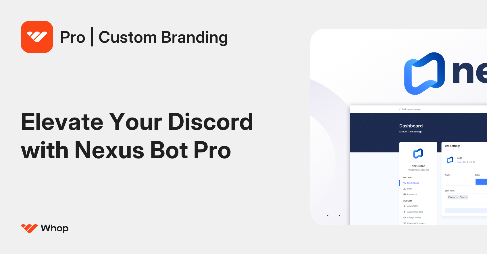 Pro | Custom Branding | Whop