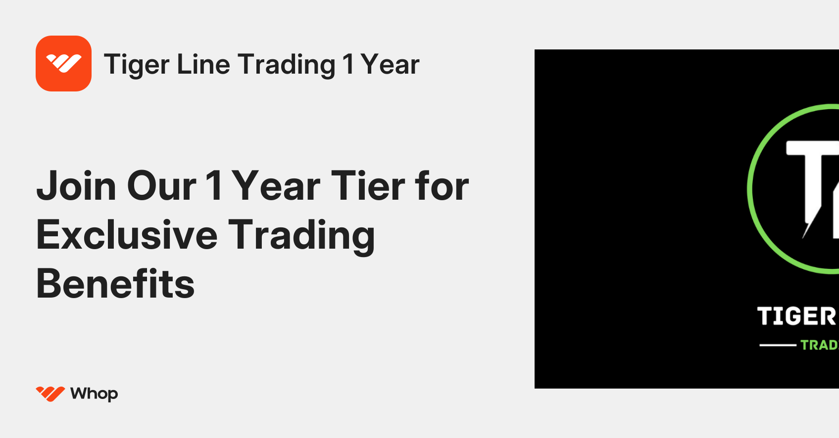 Tiger Line Trading 1 Year
