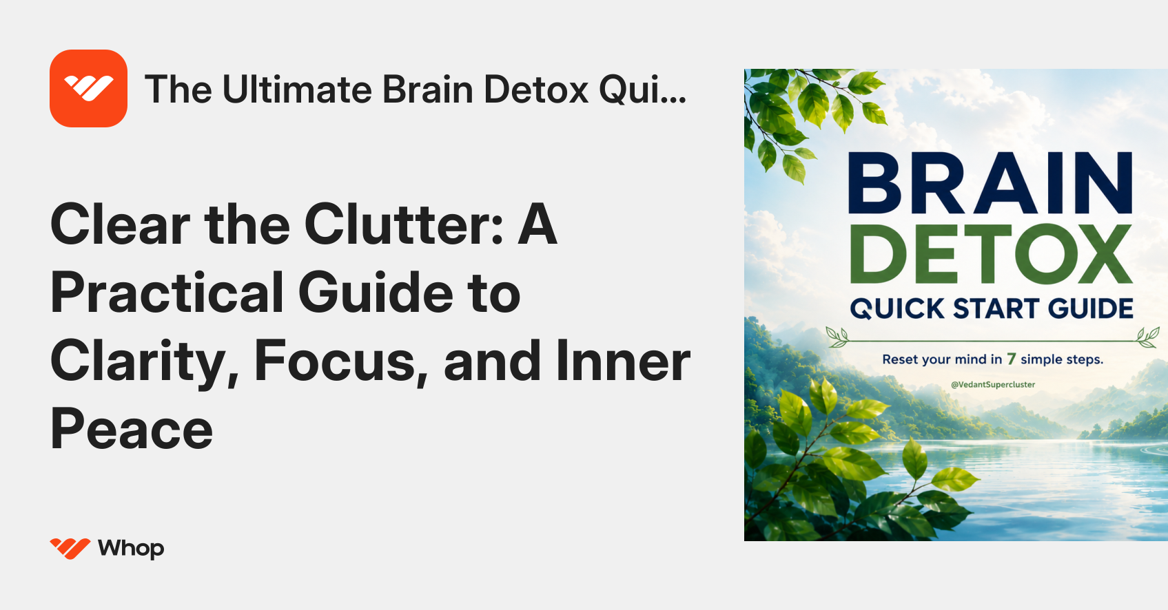 The Ultimate Brain Detox Quick Start Guide | Whop